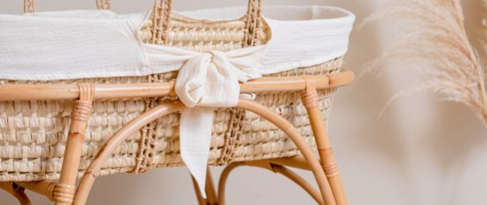 Osier vs Rotin : différences, usages et comment choisir